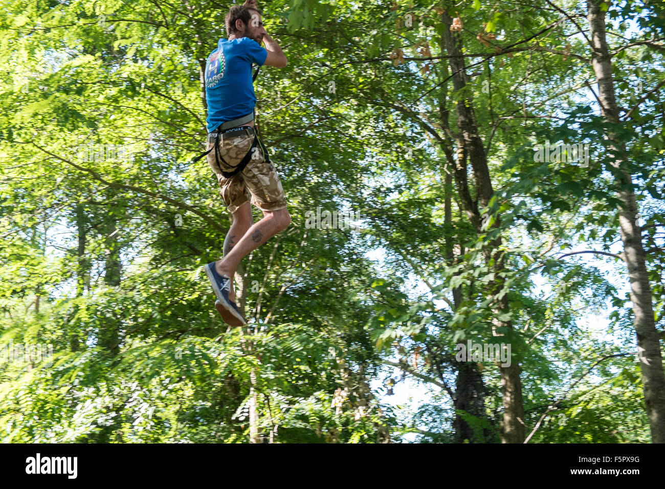 Tree,top,treetop,obstacle,course,At,Accro Parc, zipline,wire,Alet les ...