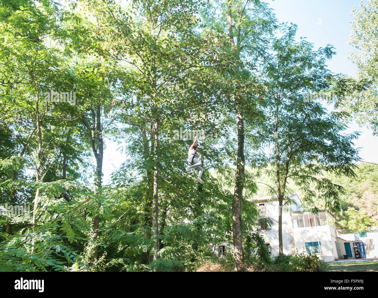 Tree,top,treetop,obstacle,course,At,Accro Parc, zipline,wire,Alet les ...