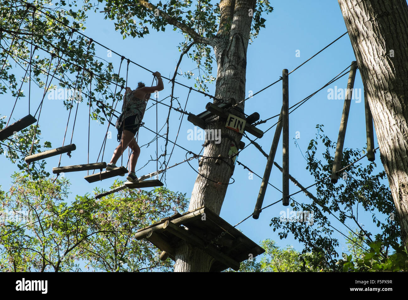 Tree,top,treetop,obstacle,course,At,Accro Parc, zipline,wire,Alet les ...
