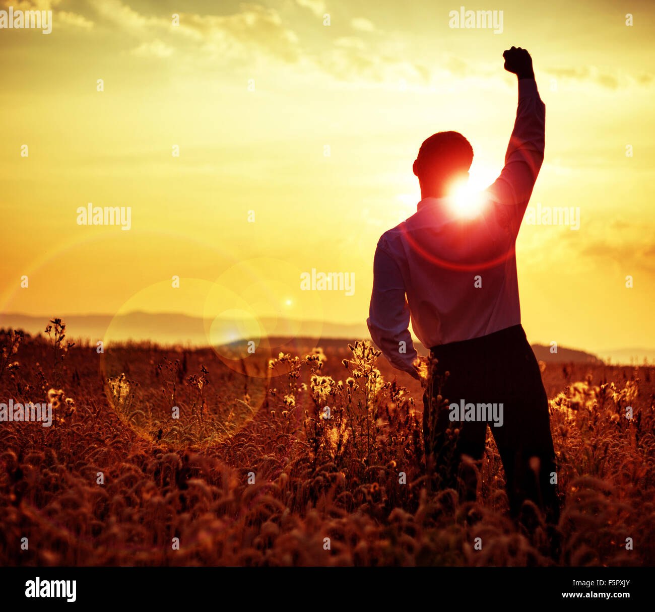 Cheerful businessman looking at the sunset Stock Photo - Alamy