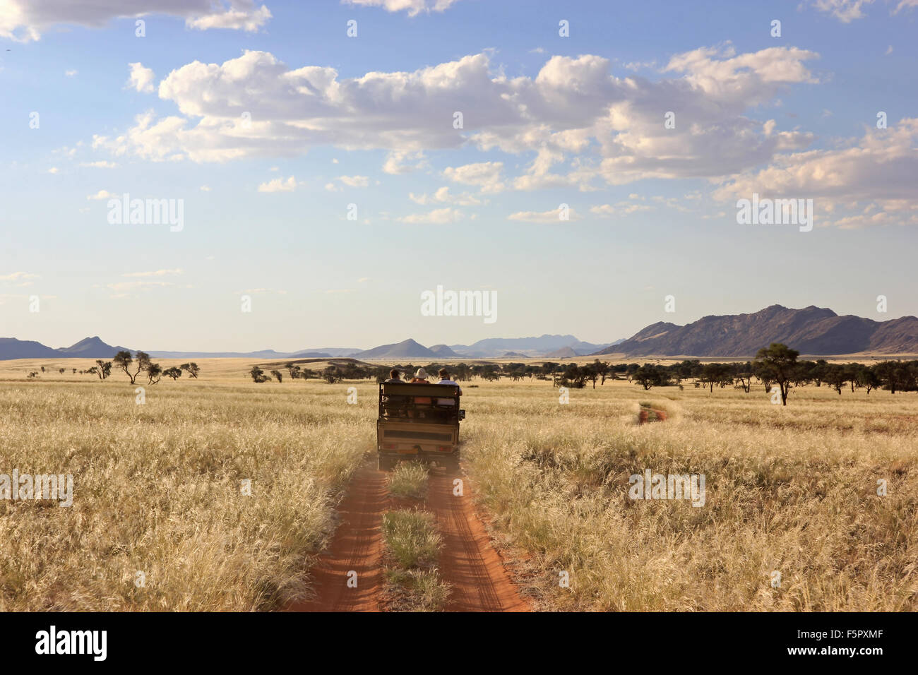 A group of tourists during a namibian safari, Africa Stock Photo - Alamy