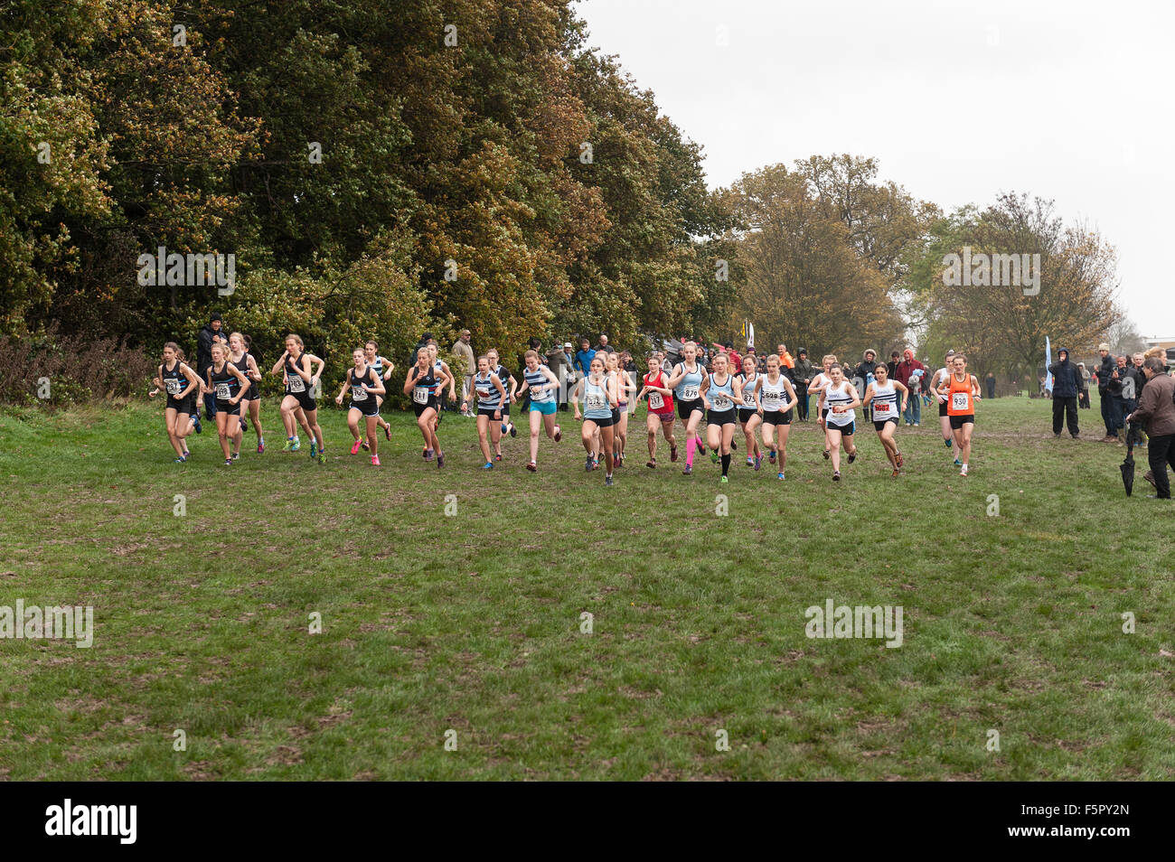 Sprinting off at the start line of young ladies women dedicated long ...