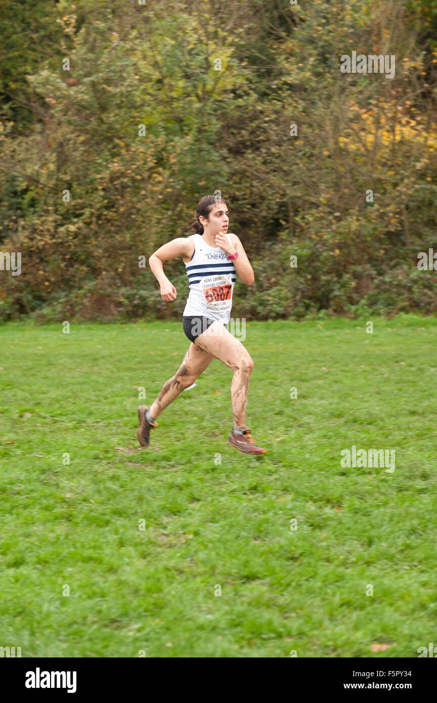 Indian runners hi-res stock photography and images - Alamy
