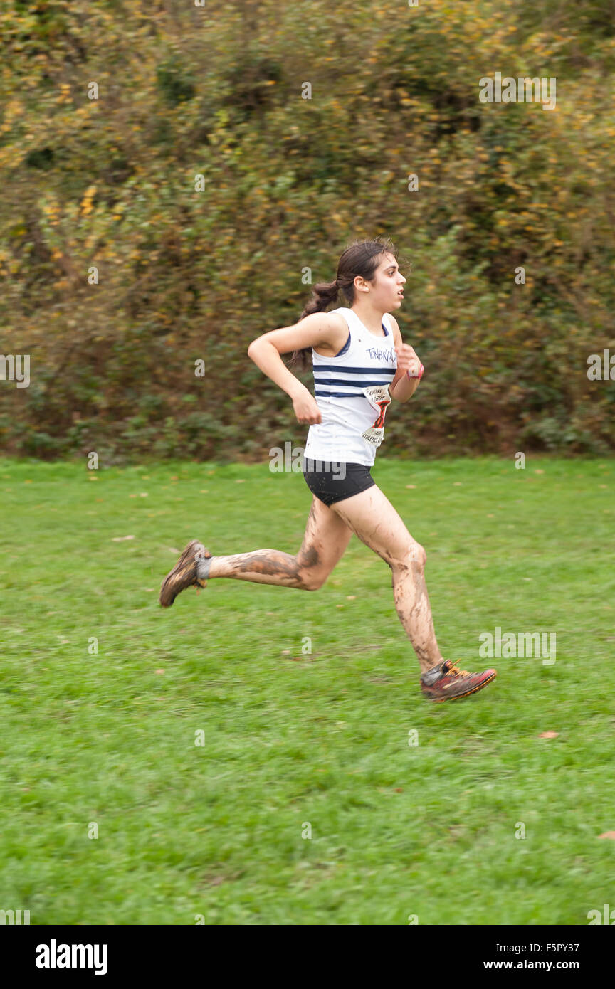 Indian runners hi-res stock photography and images - Alamy