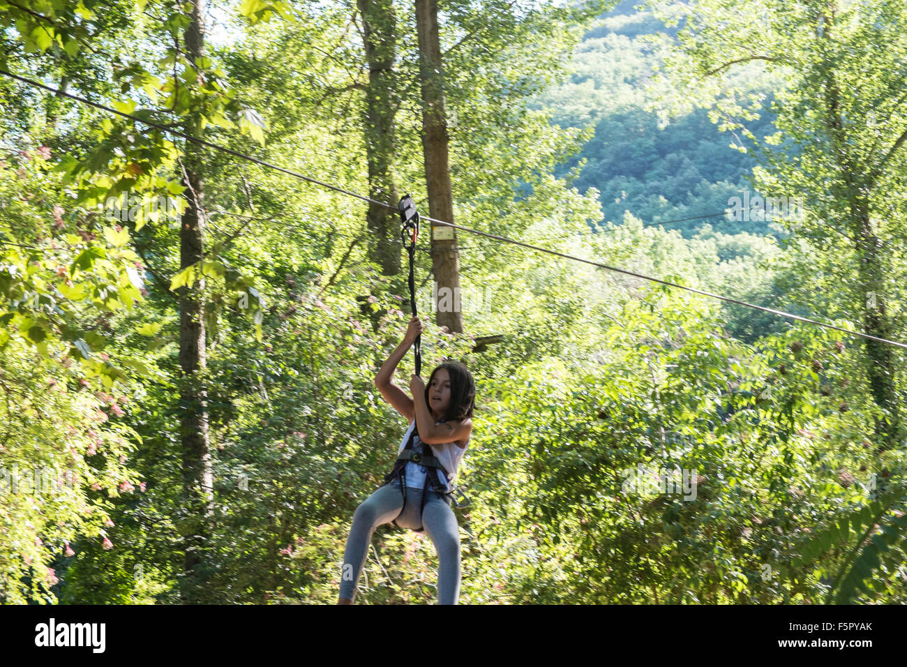 Tree,top,treetop,obstacle,course,At,Accro Parc, zipline,wire,Alet les ...