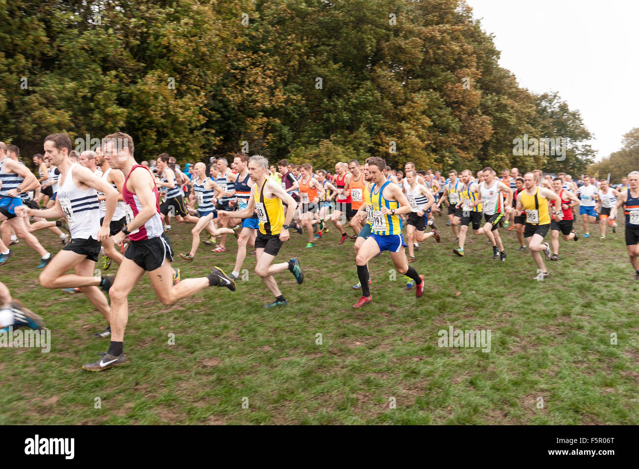 Mass line up of men ready to compete in cross country race on a rainy ...