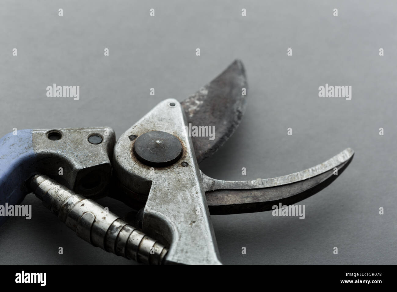 Old pruner on grey background Stock Photo - Alamy