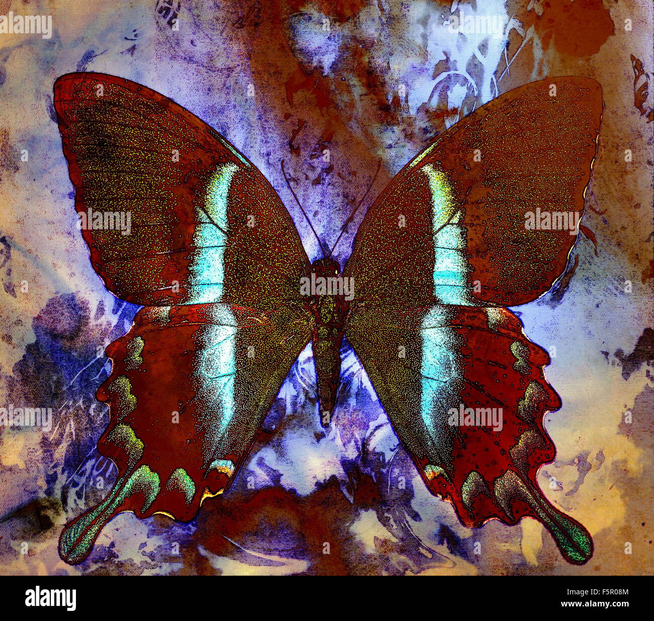 color butterfly, illustration and mixed medium, abstract background ...