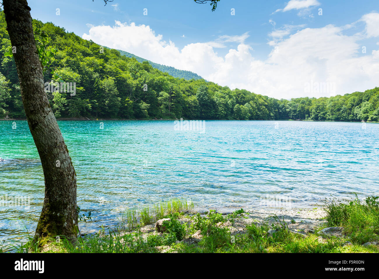 Beautiful view of Biograd lake, Montenegro Stock Photo - Alamy