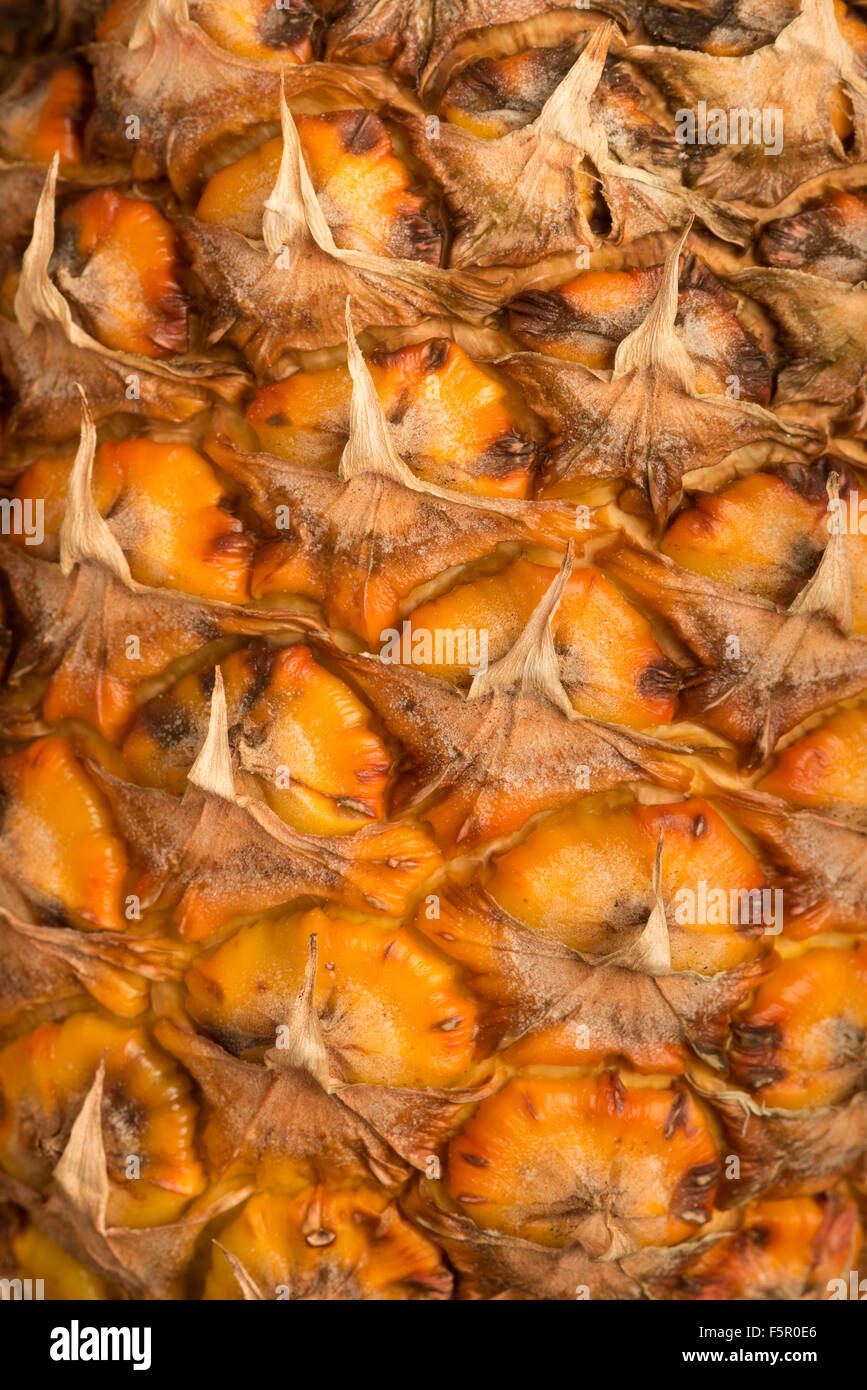 juicy and ready to eat pineapple bright orange outside showing pattern ...