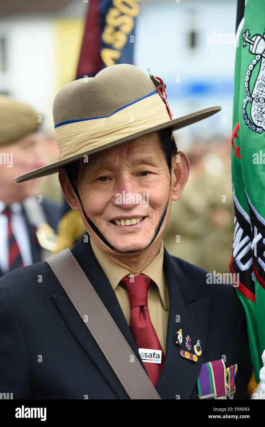 Remembrance Day Parade at the Cenotaph Town Centre Swindon 2015 Stock ...