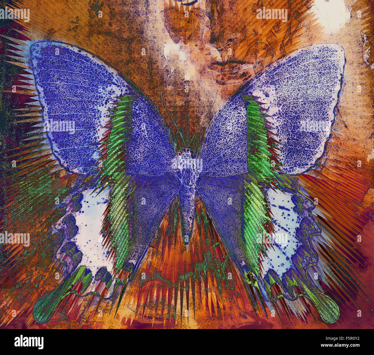 color butterfly, illustration and mixed medium, abstract background ...