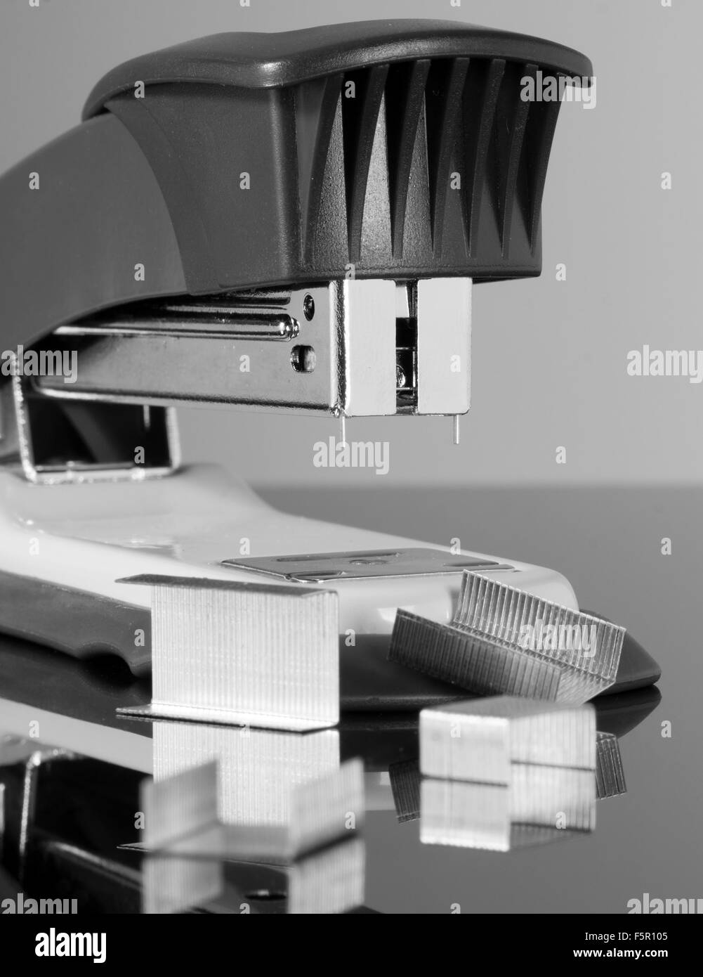 A classic black office stapler with staples Stock Photo - Alamy
