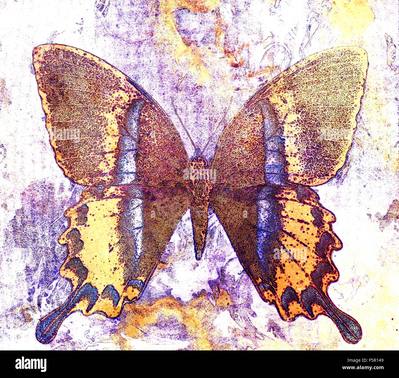 color butterfly, illustration and mixed medium, abstract background ...
