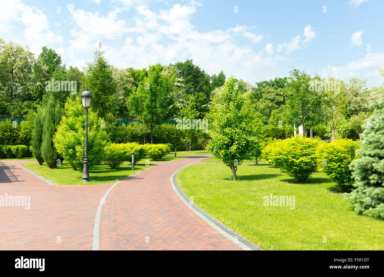 Long curve stone pavement alley in the green park Stock Photo - Alamy