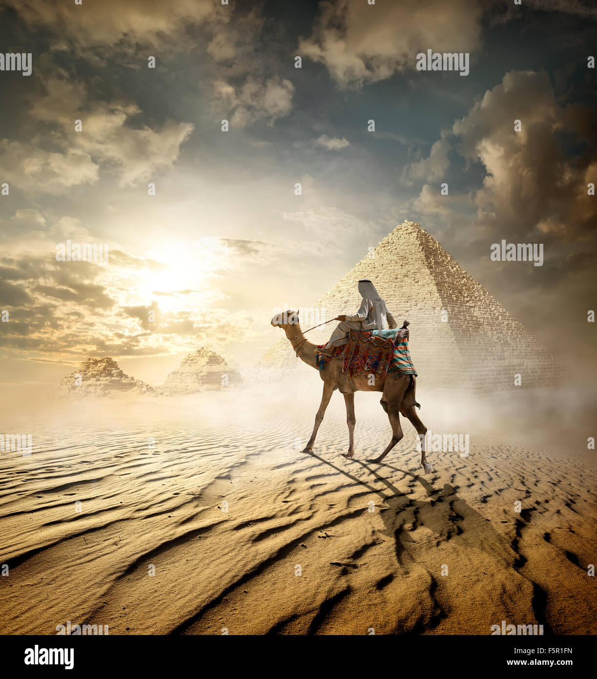 Bedouin on camel near pyramids in fog Stock Photo - Alamy