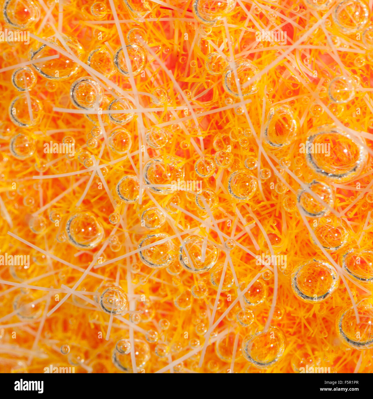 Abstract fluffy wet surface. Background or texture Stock Photo - Alamy