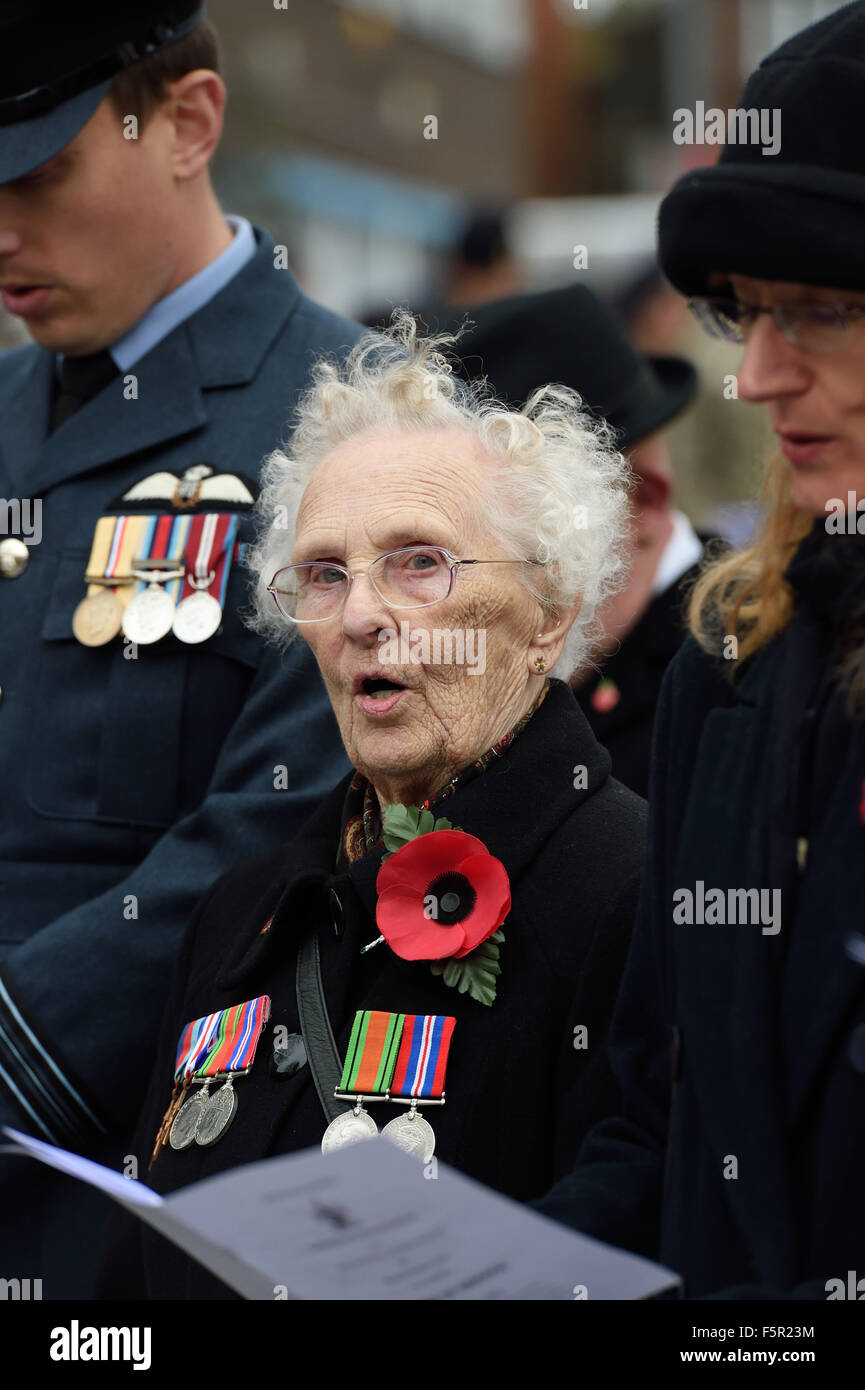 Remembrance Day Parade at the Cenotaph Town Centre Swindon 2015 Stock ...