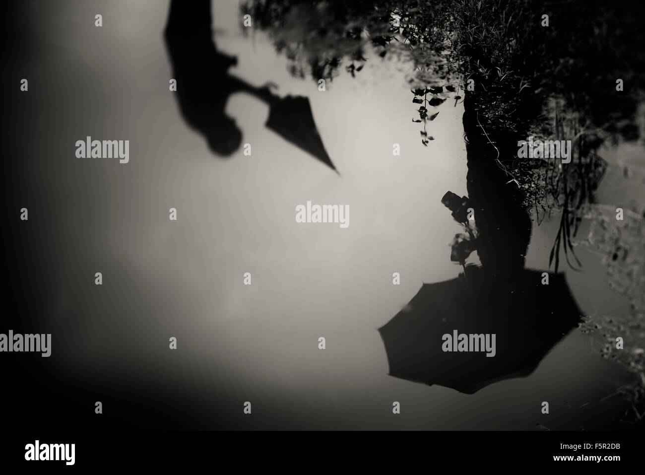 Abstract art light hi-res stock photography and images - Alamy