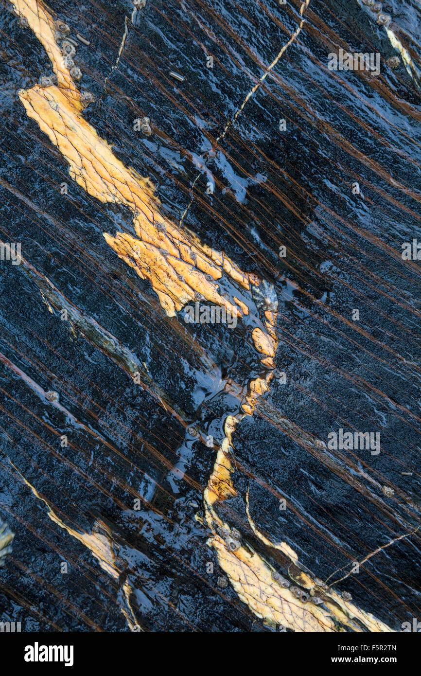 Pretty stripes in black rock Stock Photo - Alamy