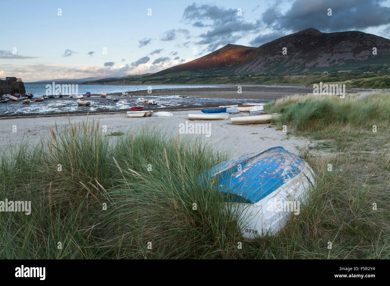 Rowing boats are moored up on the shore of Caernarfon Bay near Trefor ...