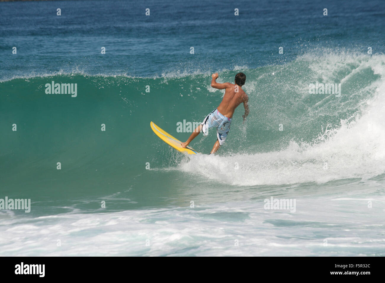 Young boy surfing perfect waves in the sea Stock Photo - Alamy