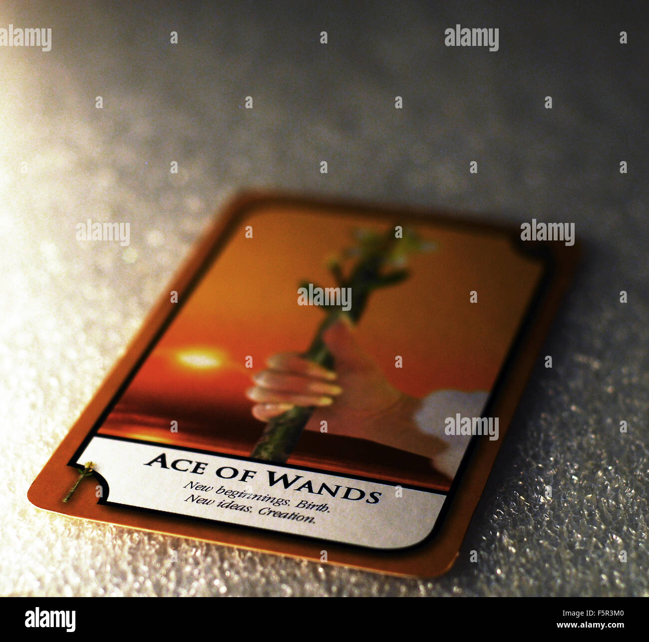 tarot cards,tarot the fool,the sun.,five,psychic,fortune teller,gypsy ...