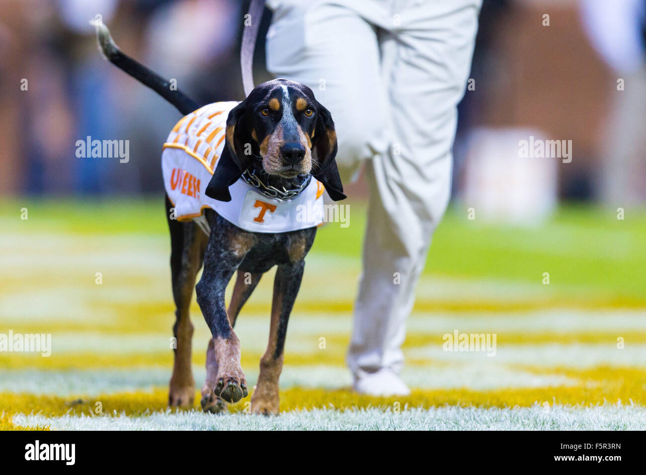 November 07, 2015: Tennessee Volunteers mascot Smokey during the NCAA ...