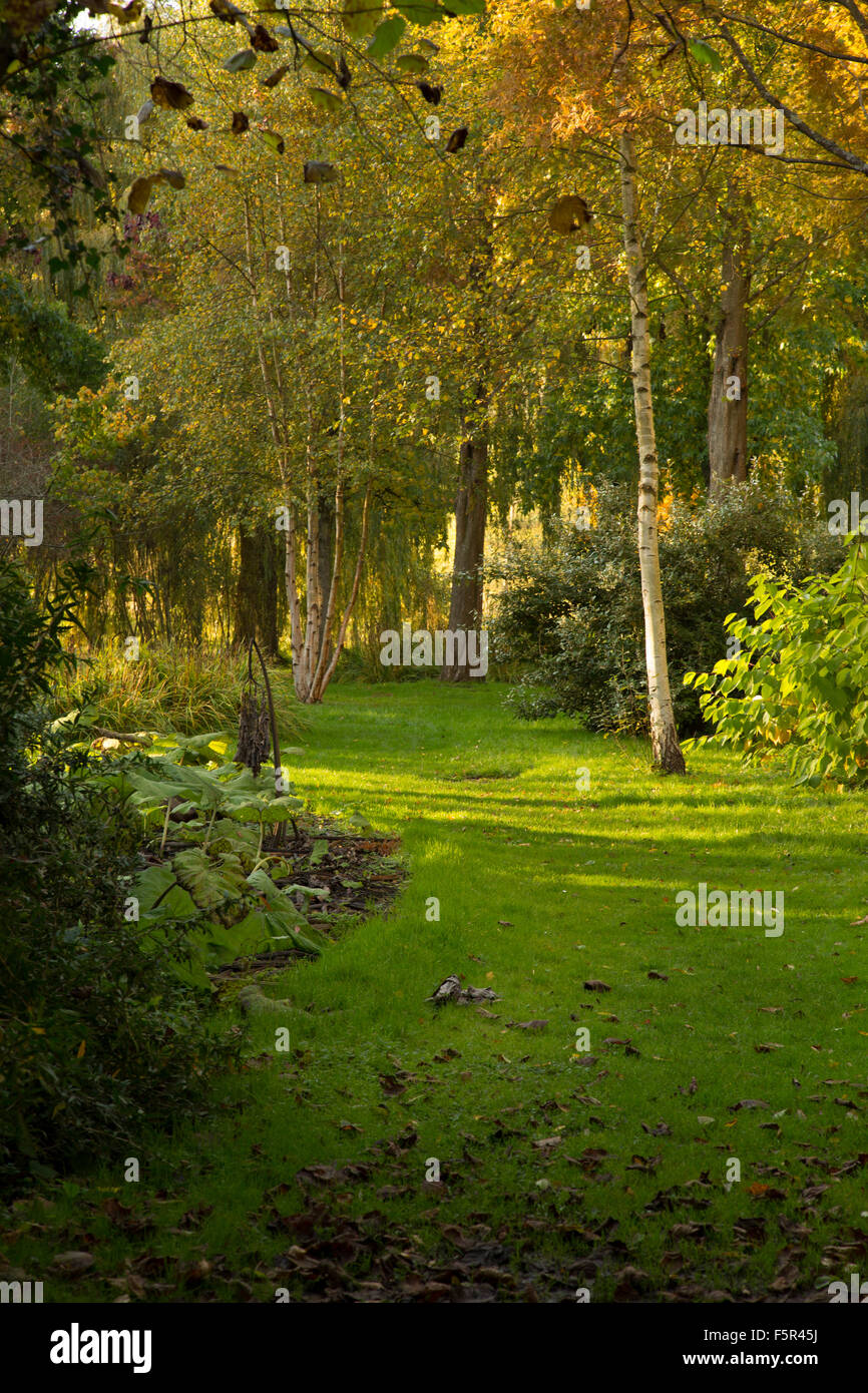 Green Scenic Path with Trees Stock Photo - Alamy