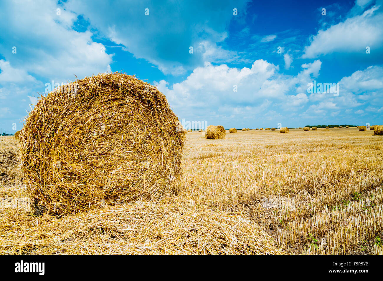 Straw bales on farmland with blue cloudy sky Stock Photo - Alamy