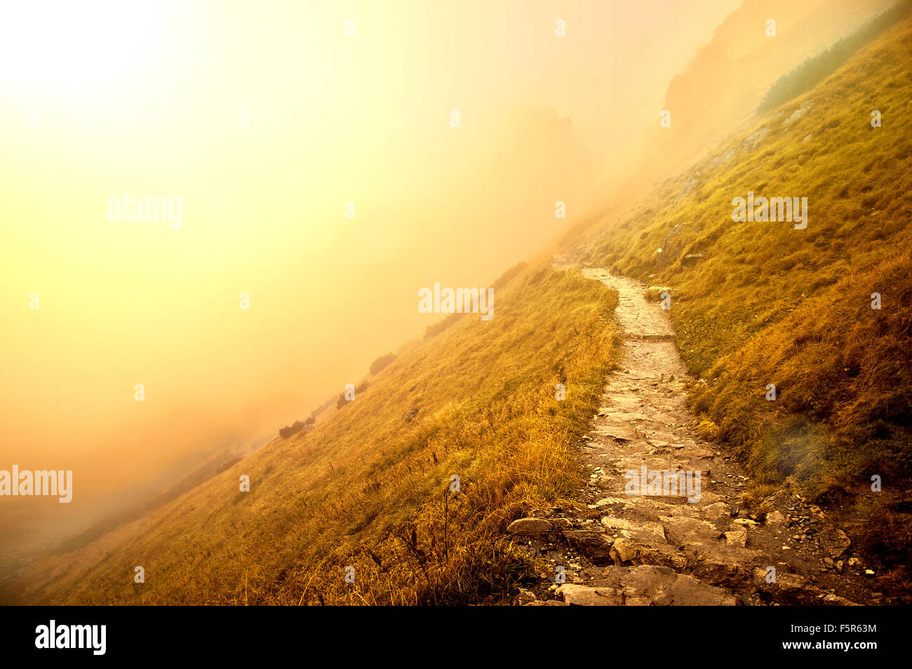 Fog in mountains. Fantasy and colorfull nature landscape. Nature ...