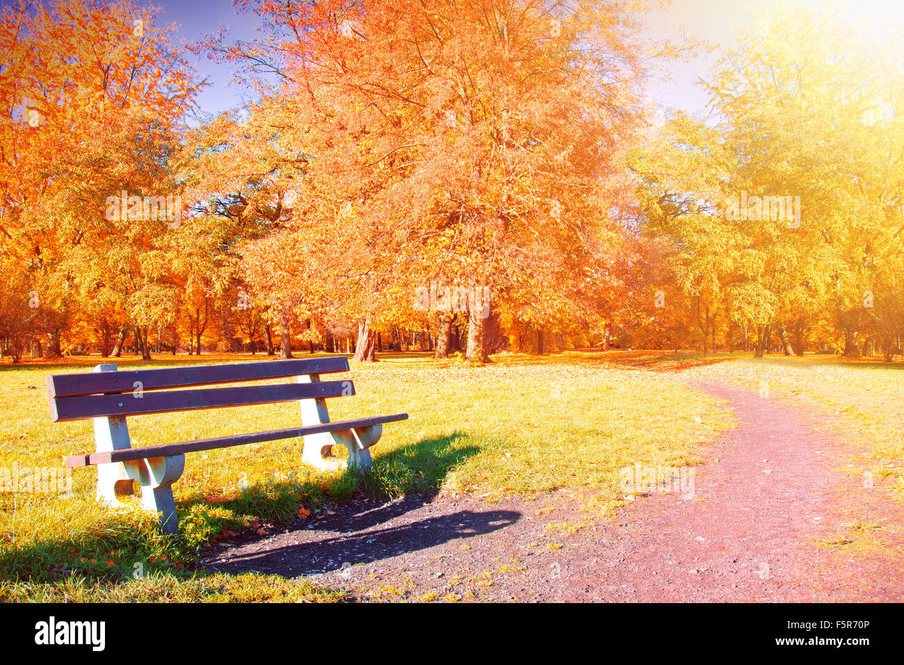 Gold fall hi-res stock photography and images - Alamy