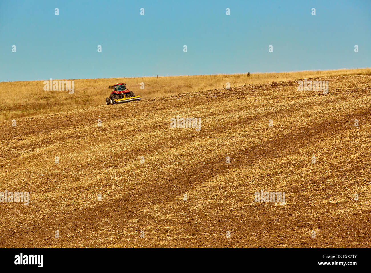 Agricultural Landscape. Tractor working on the field Stock Photo - Alamy