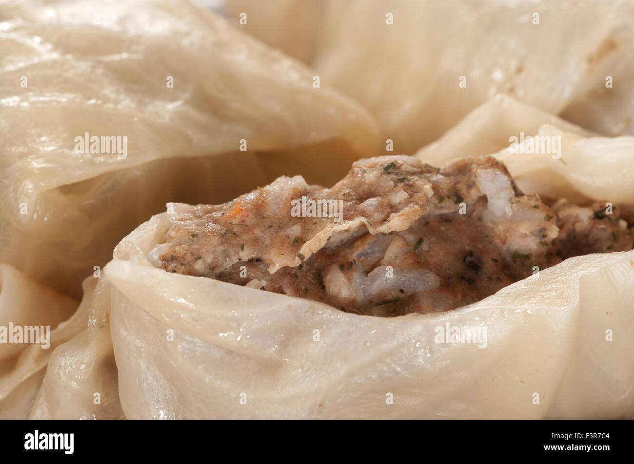 Cabbage rolls with meat and rice (Golubtsy), traditional russian food ...