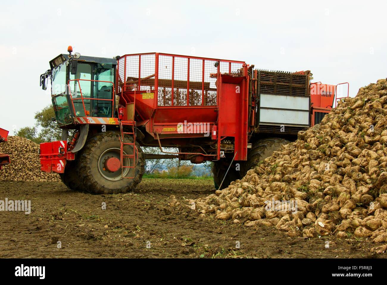 Beet harvesting machine hi-res stock photography and images - Alamy