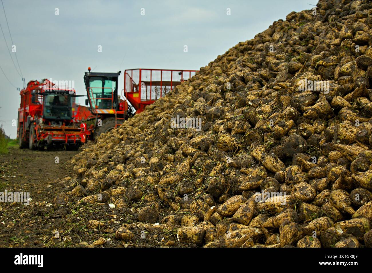 Beet harvesting machine hi-res stock photography and images - Alamy