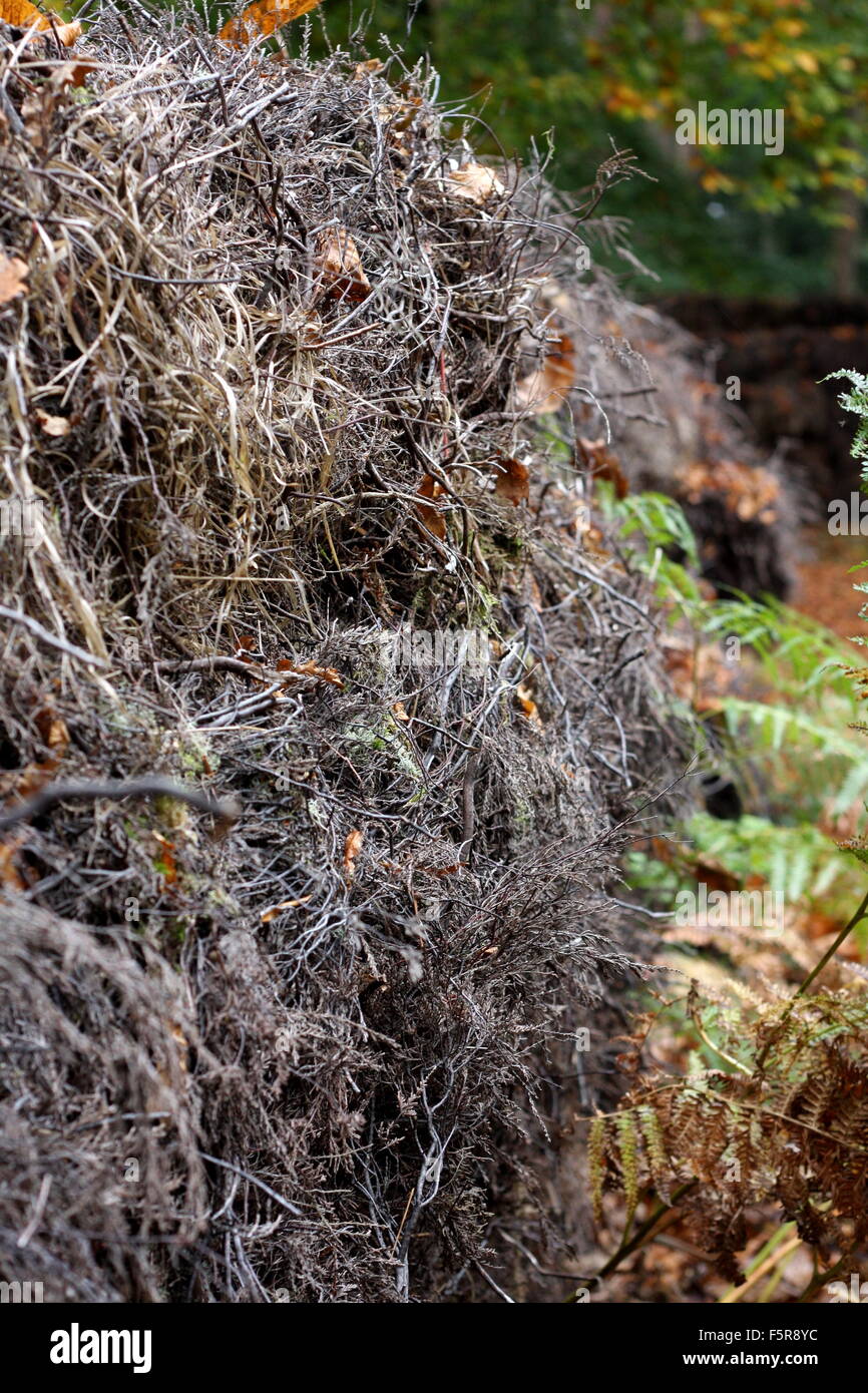 Stacked twig bales in the New Forest Stock Photo - Alamy