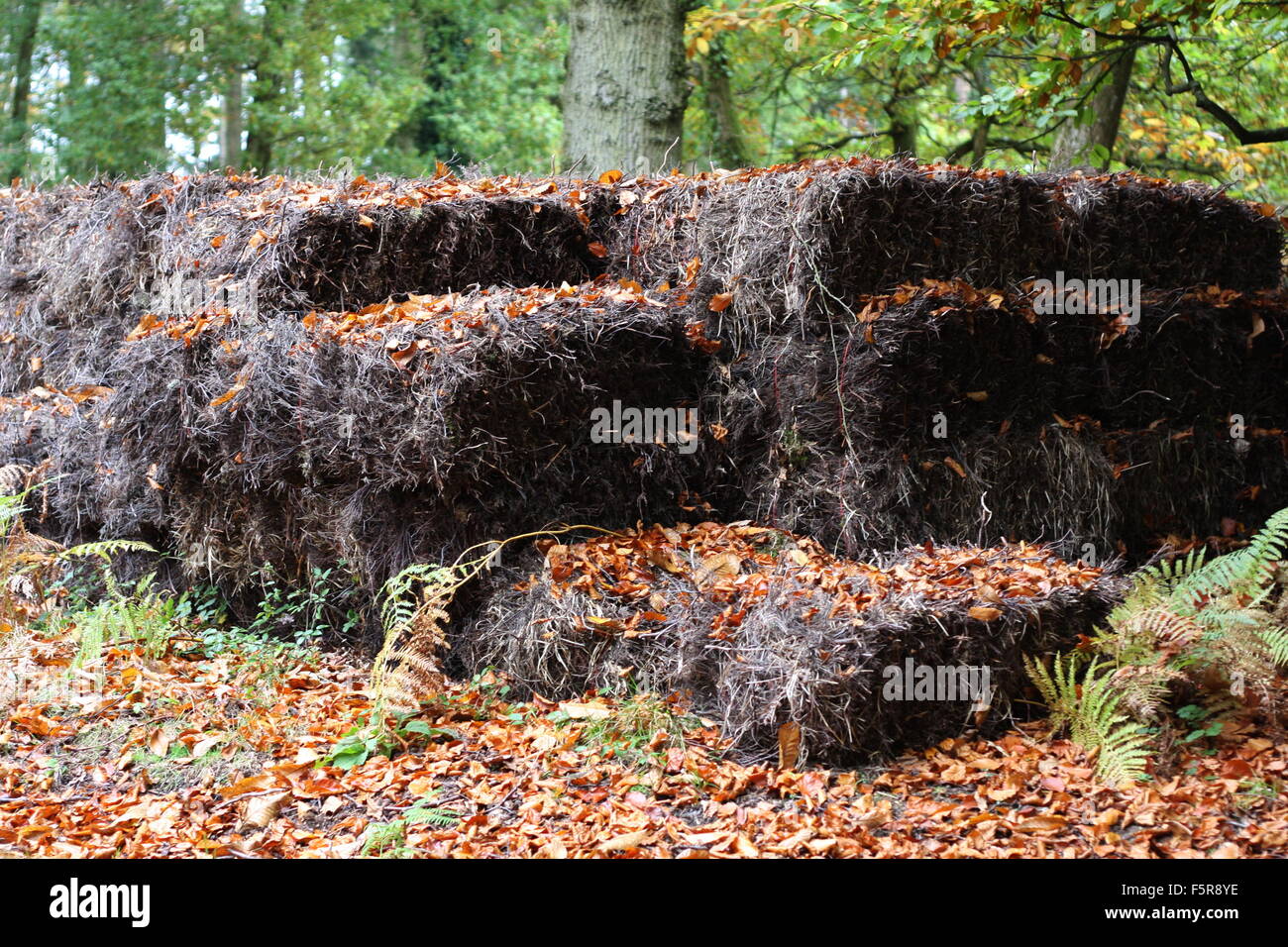 Stacked twig bales in the New Forest Stock Photo - Alamy