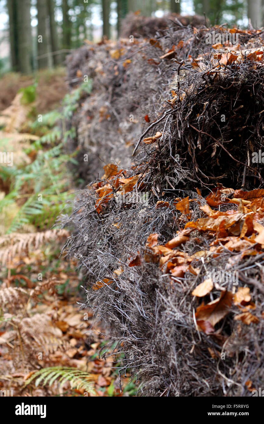 Stacked twig bales in the New Forest Stock Photo - Alamy