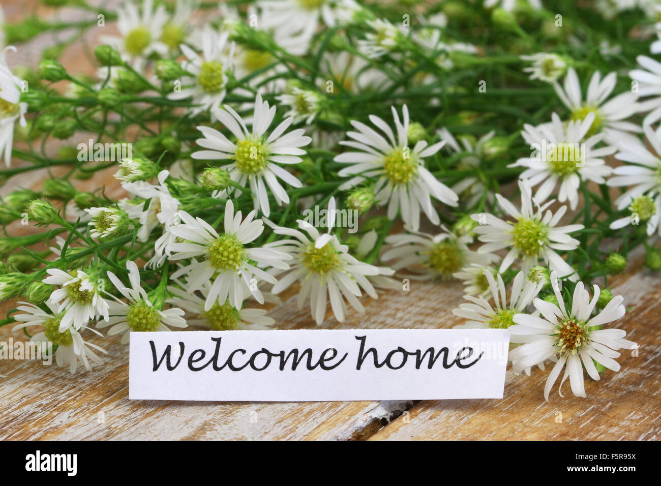 Welcome home card with flowers hi-res stock photography and images - Alamy