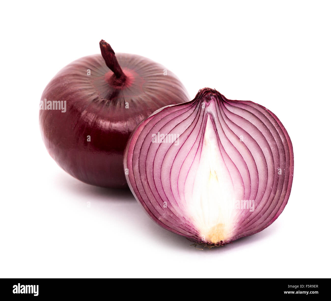 Two ripe onions on a white background Stock Photo - Alamy