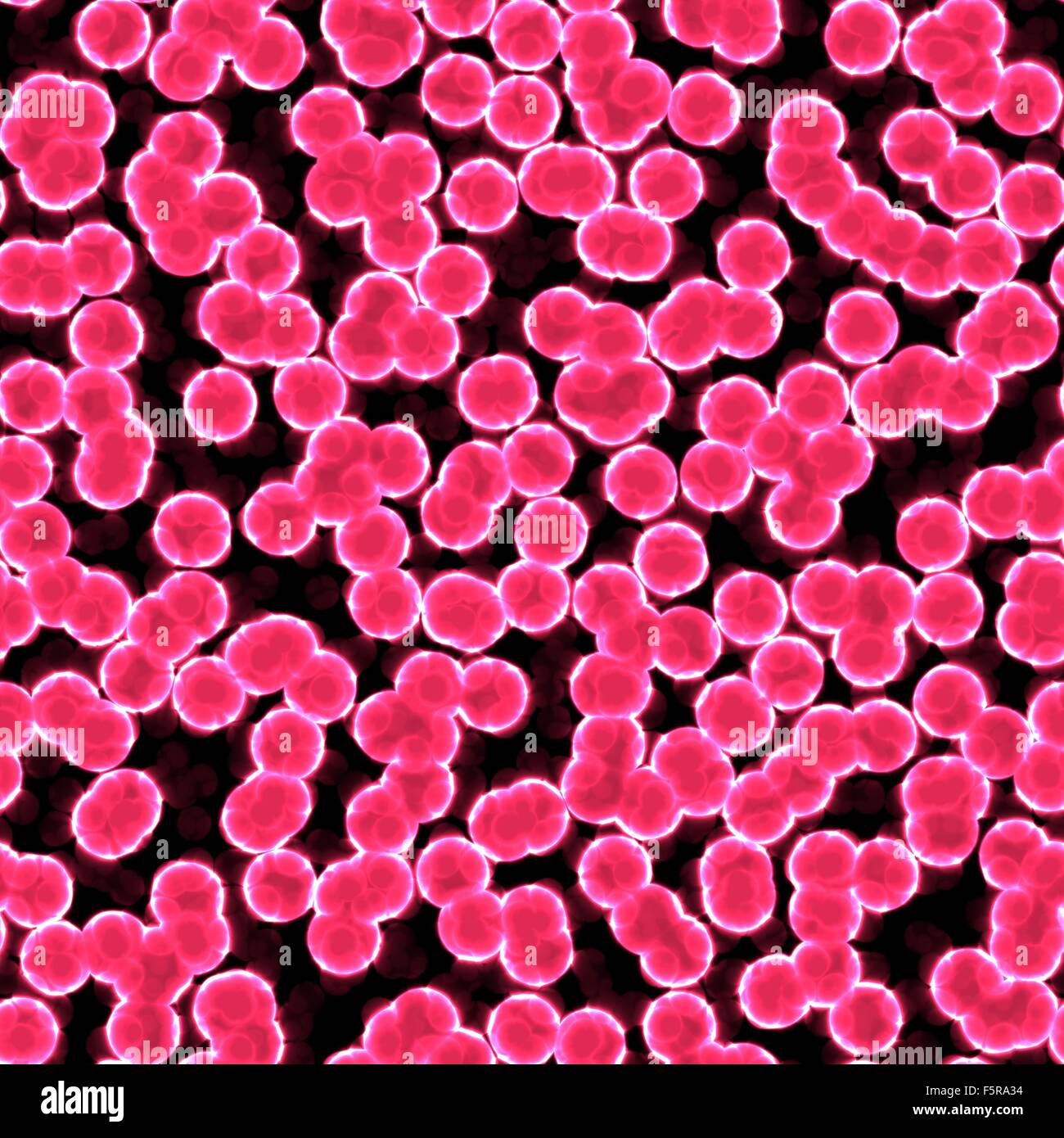 Illustration of the red cells with white edge on a black background ...