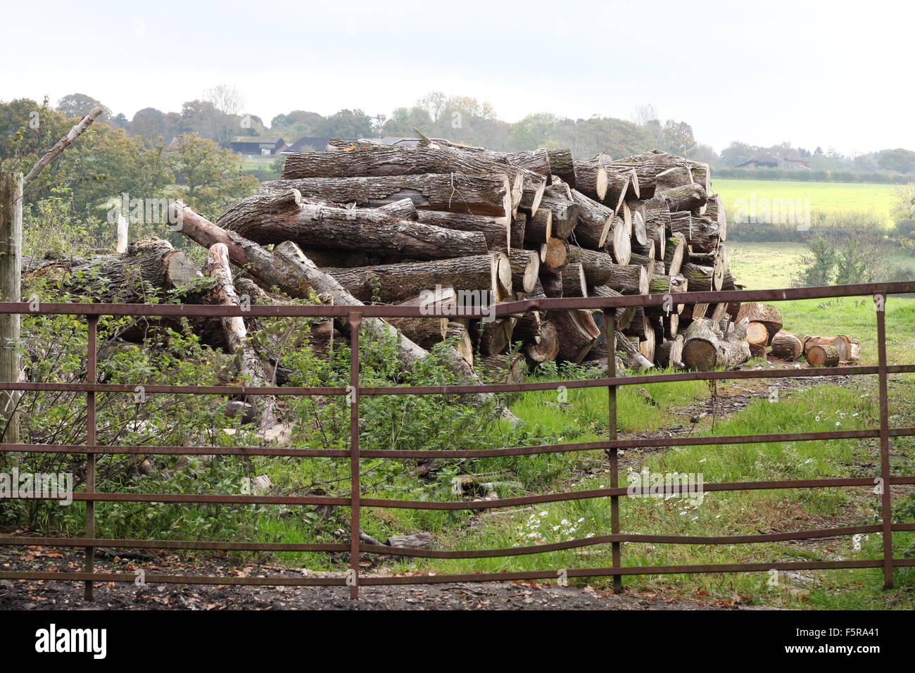 Log pile on farm Stock Photo - Alamy