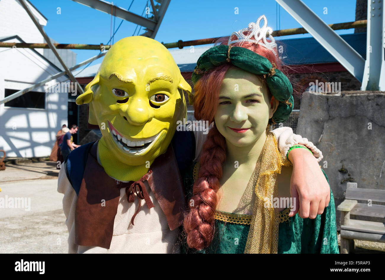 Shrek Characters Fiona Princess Fiona And Shrek, Shrek Film Series