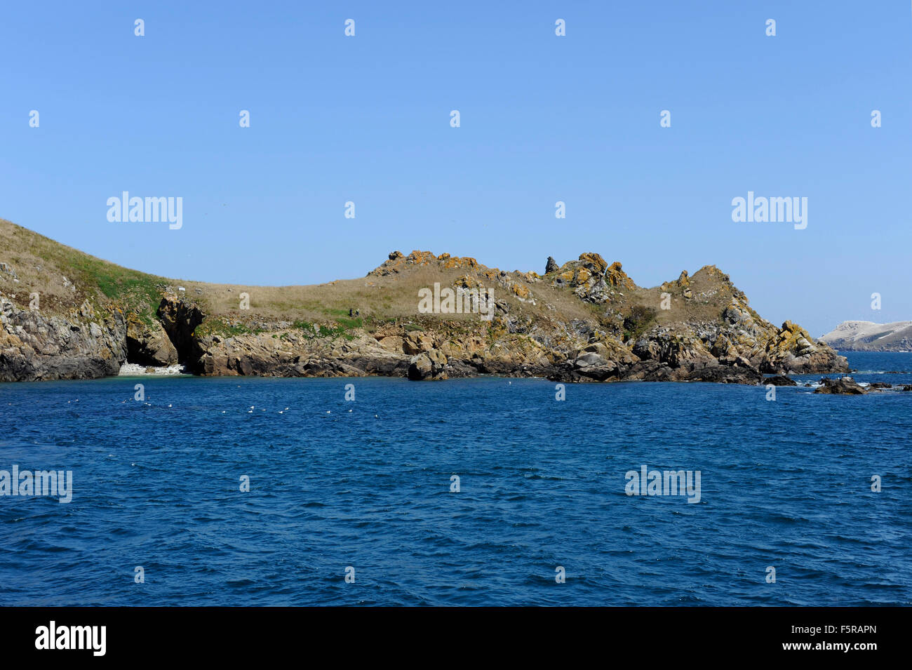 Ile Bono,back right Rouzic the island,Sept-Iles archipelago,Perros ...