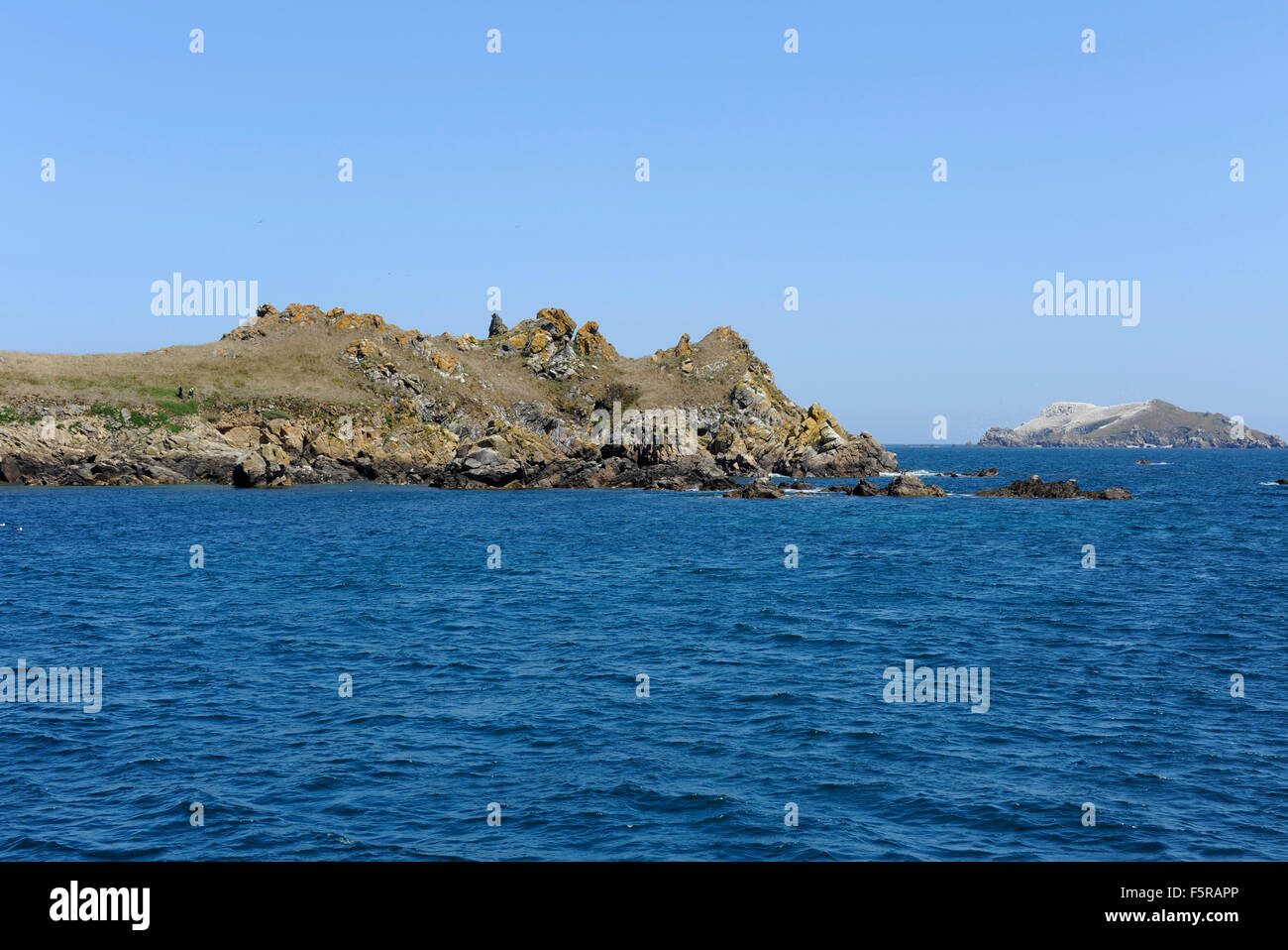 Ile Bono,back right Rouzic the island,Sept-Iles archipelago,Perros ...