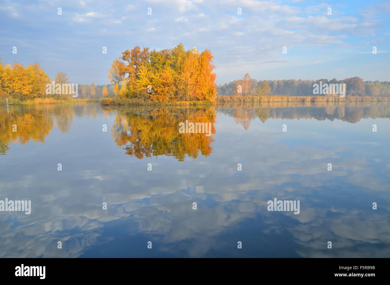 Autumn morning landscape. Fall trees on the lake Stock Photo - Alamy