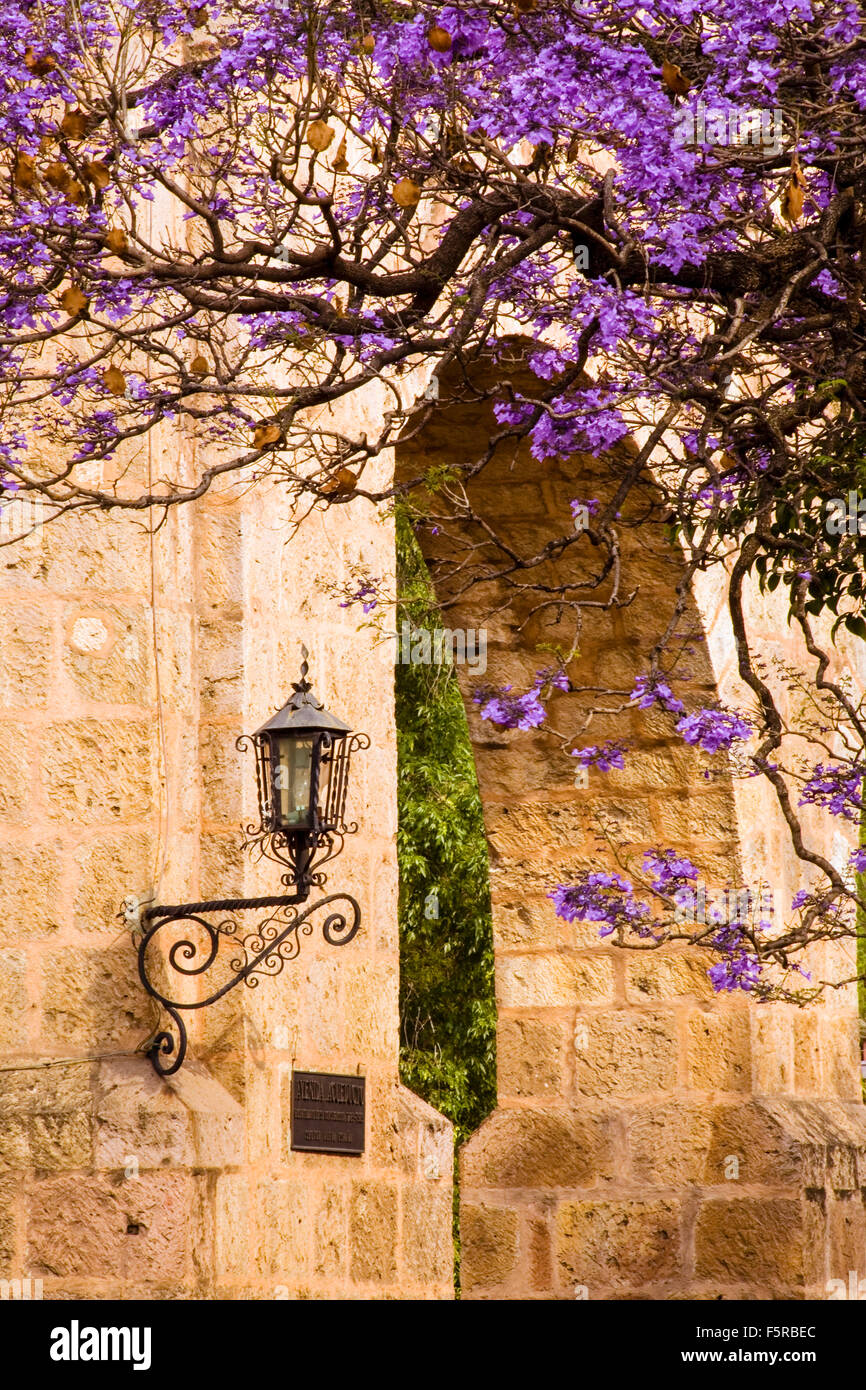 Detail of the aqueduct, a colonial landmark of Morelia, Michoacan ...