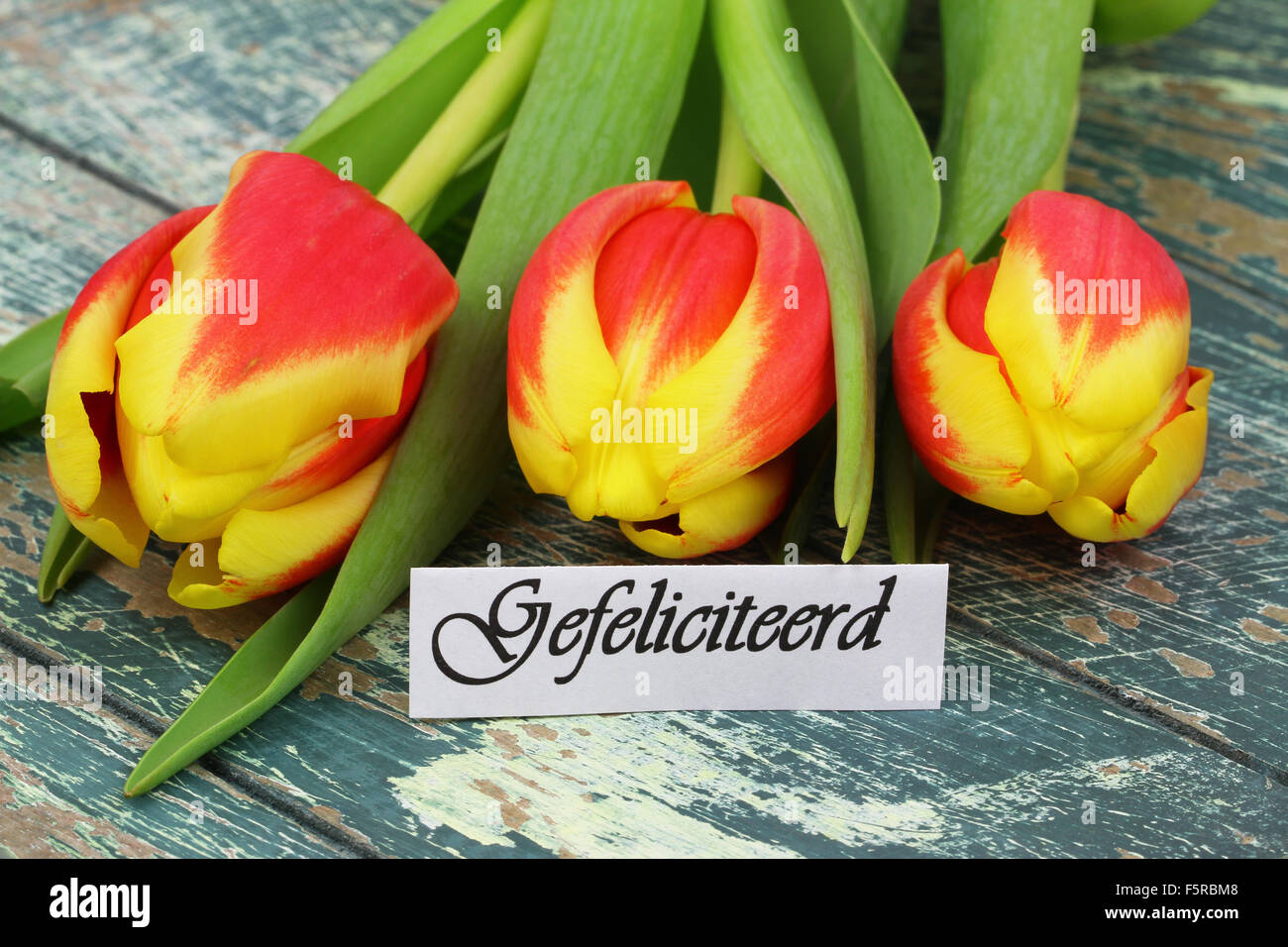 Gefeliciteerd (which means Congratulations in Dutch) with red and ...