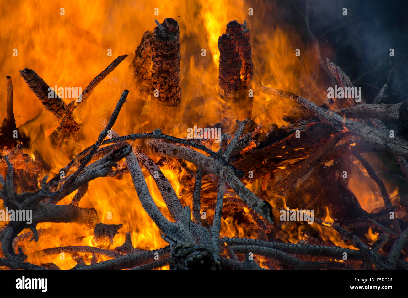 Brush fire burning at night, close up, Yarmouth ME, USA Stock Photo - Alamy